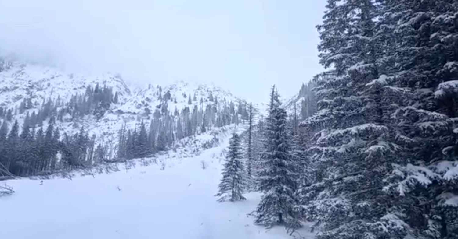 Gigantyczna lawina zeszła w rejonie Morskiego Oka. Popularny szlak całkowicie zasypany [WIDEO ...